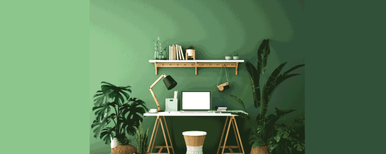 10 Best Green Office Ideas to Use in 2023 - Productivity Land