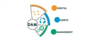 Your Guide to Digital Asset Management Workflows - Productivity Land
